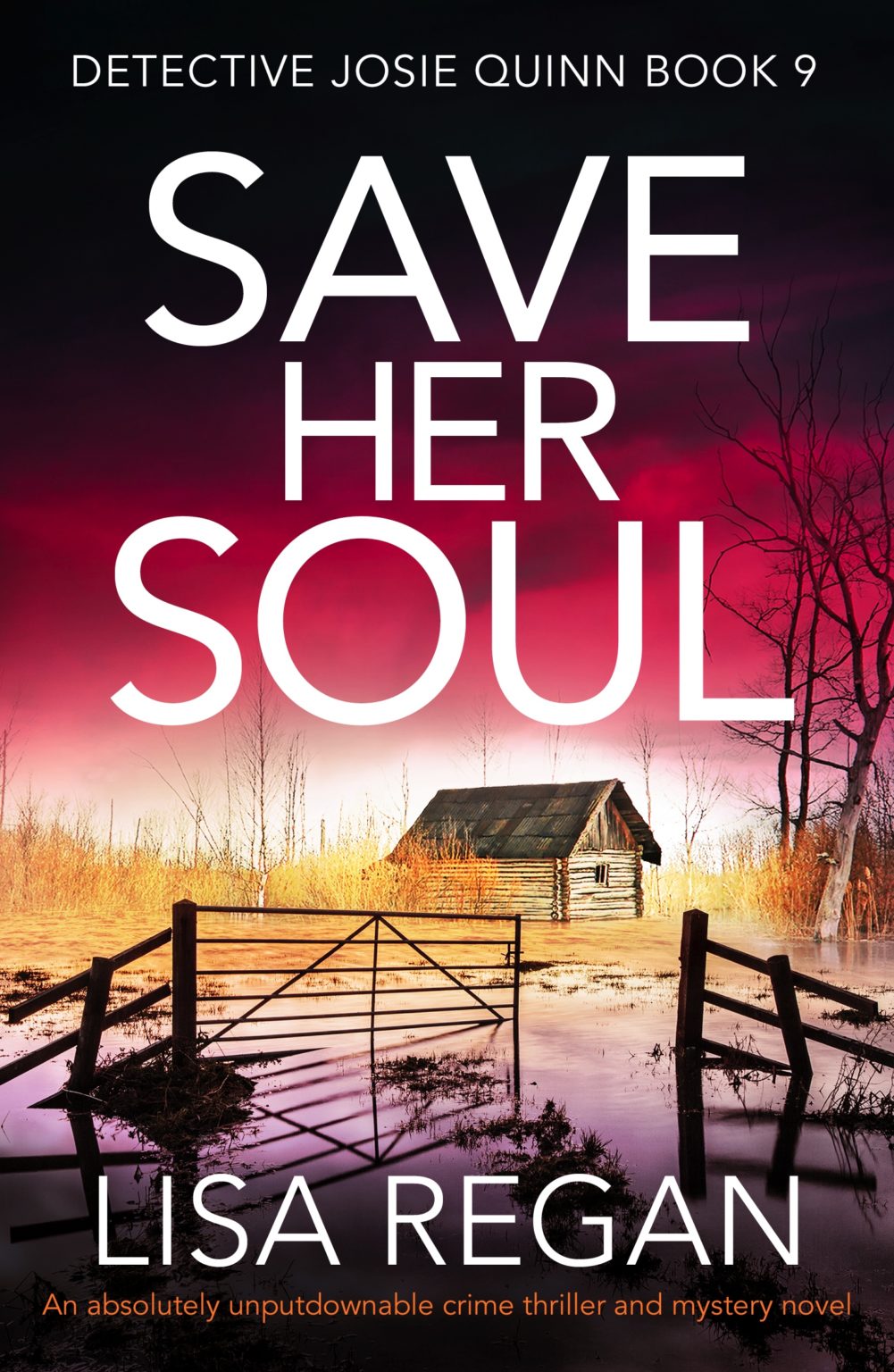 Books Archive - Lisa Regan