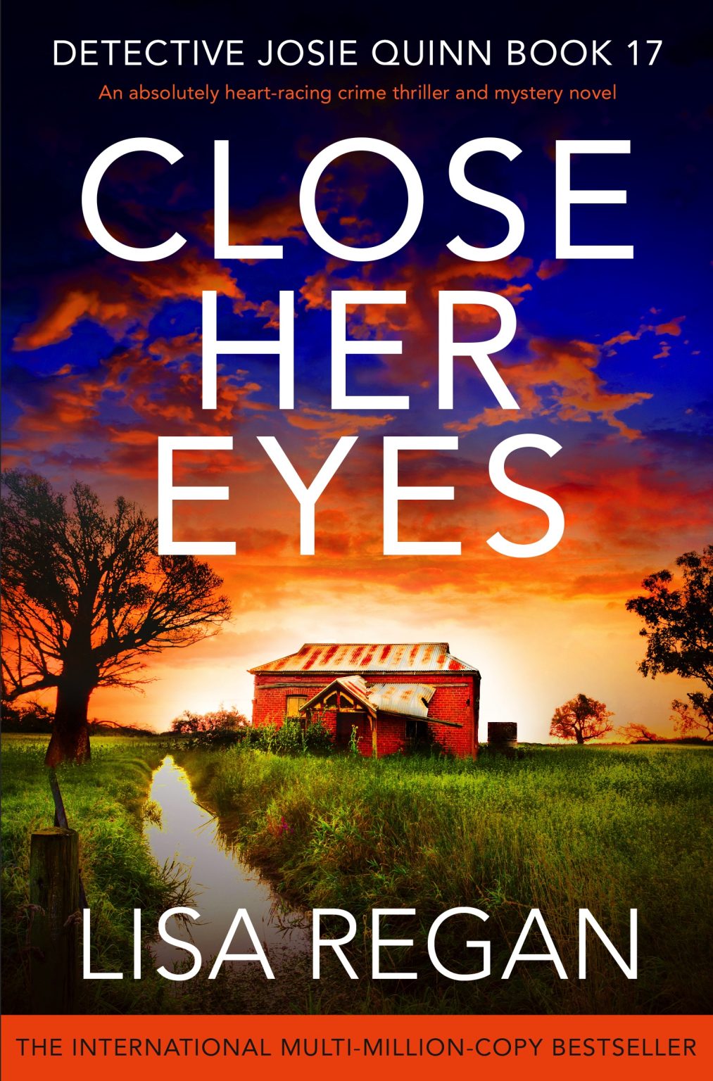 Books Archive - Lisa Regan